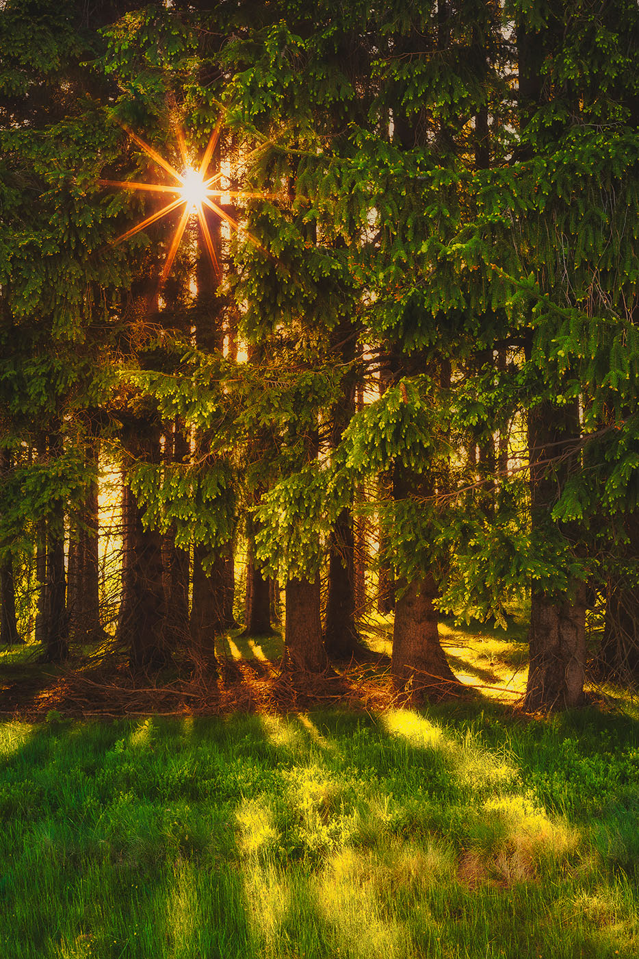 Jak fotografować krajobraz? - Poradnik Fotograficzny